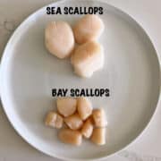 Broiled Scallops with Butter and Parmesan - Healthy Recipes Blog