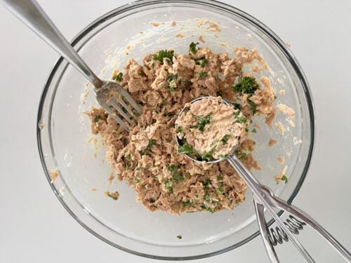 Easy Weeknight Tuna Patties - Healthy Recipes Blog